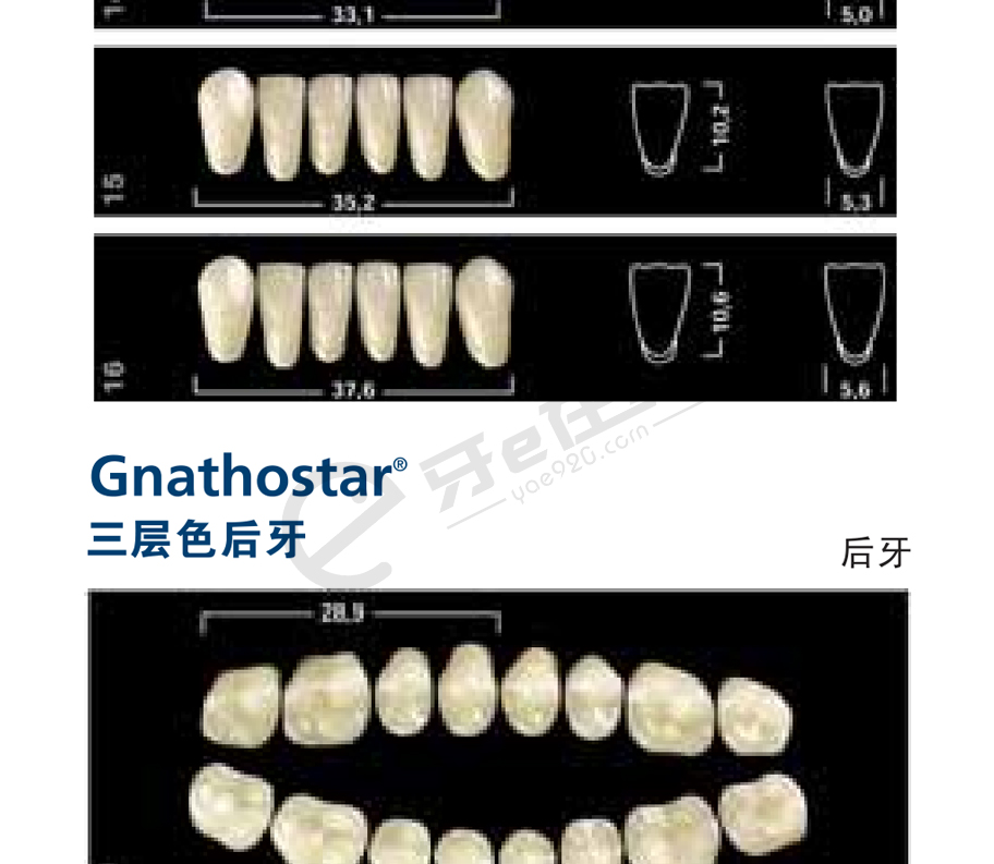 义获嘉 三层色合成树脂牙（前牙）6*1、义获嘉伟瓦登特、伟瓦登特,成品牙,佳-牙e在线 牙科综合性服务型电商平台